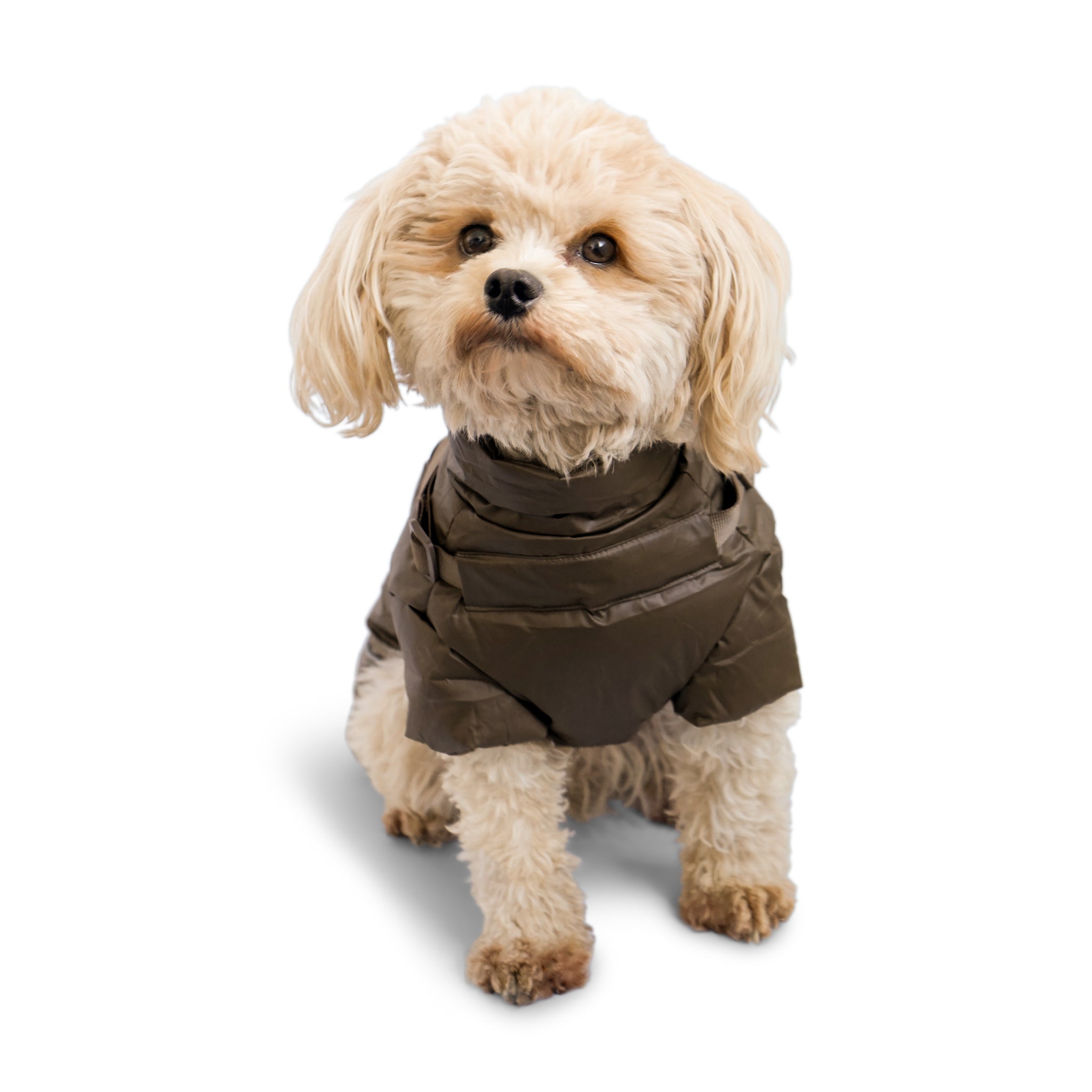 Charlie step-in sele – Puppy Bohème